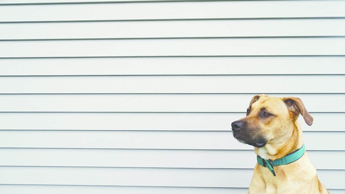 Linea™ Weatherboard | James Hardie